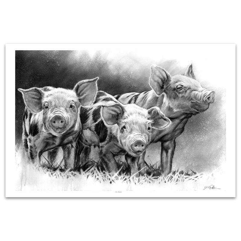 Pig Pencil Drawing